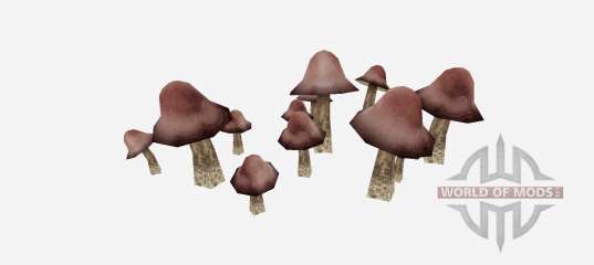 Shrooms v5 pour Farming Simulator 2015