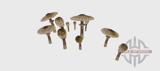 Shrooms pour Farming Simulator 2015